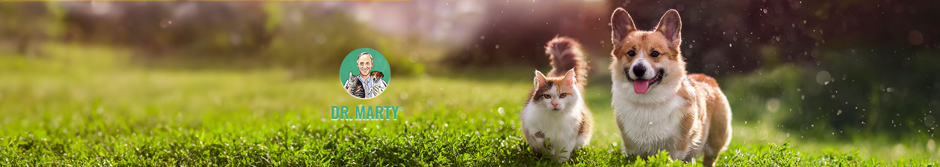 Dr. Marty's December 2023 – Page 2 – Healthy Pet Austin