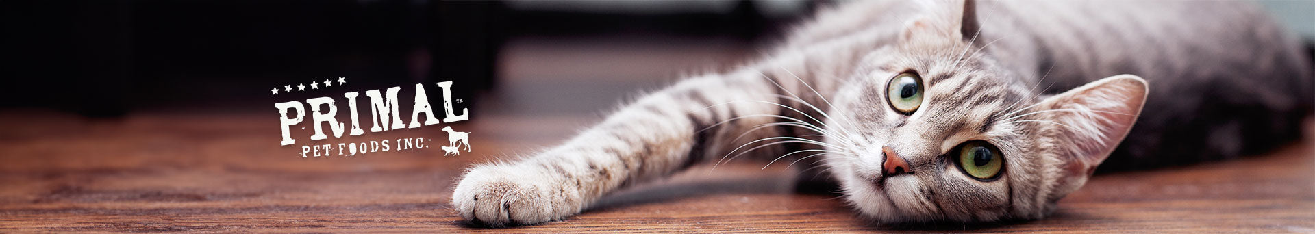 Primal Cat September 2023 Sale – Healthy Pet Austin