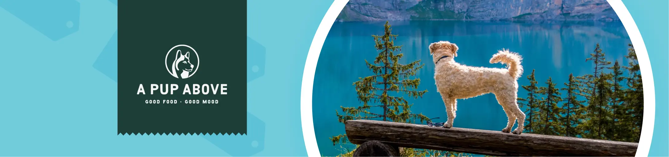 A Pup Above (August Sale) – Healthy Pet Austin