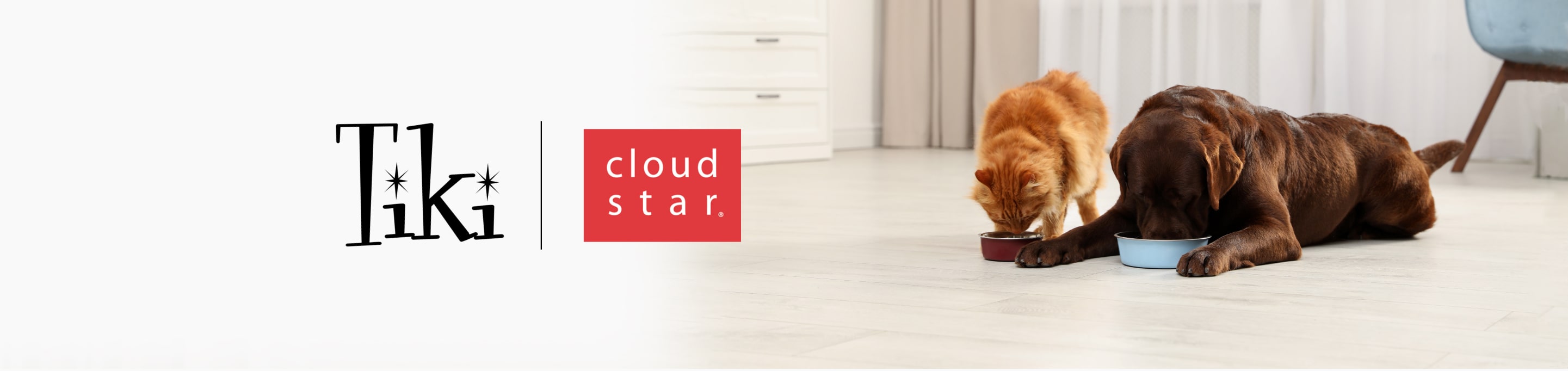Tiki & Cloud Star - May promotions – Healthy Pet Austin